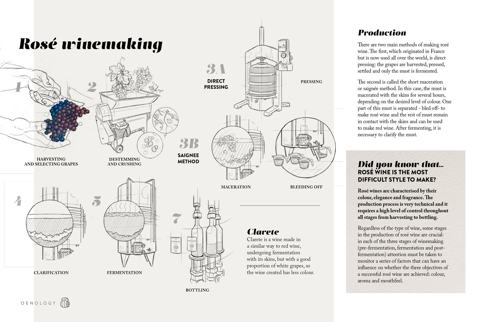 Rosé winemaking - Spanish Wine Academy de Ramón Bilbao
